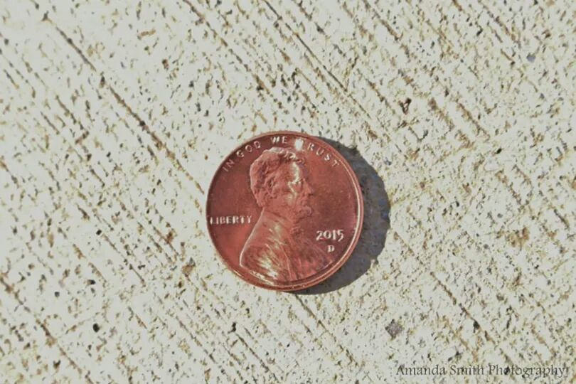 Penny For Your Thoughts | Glen Hartline